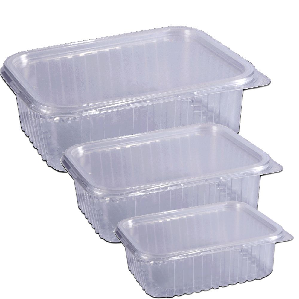 Pote Retangular Descartável | c/ Tampa | 500ml | 24 UN | Shopee Brasil