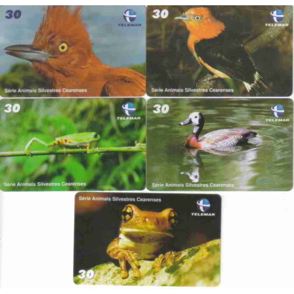 Série fechada ANIMAIS SILVESTRES CEARENSES TELEMAR - 5 CARTÕES Coleção ...