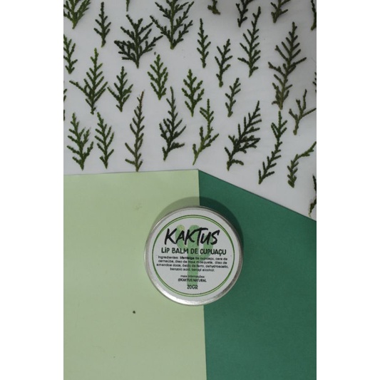 Mini lip balm | Box sobre o corpo e eu | Shopee Brasil