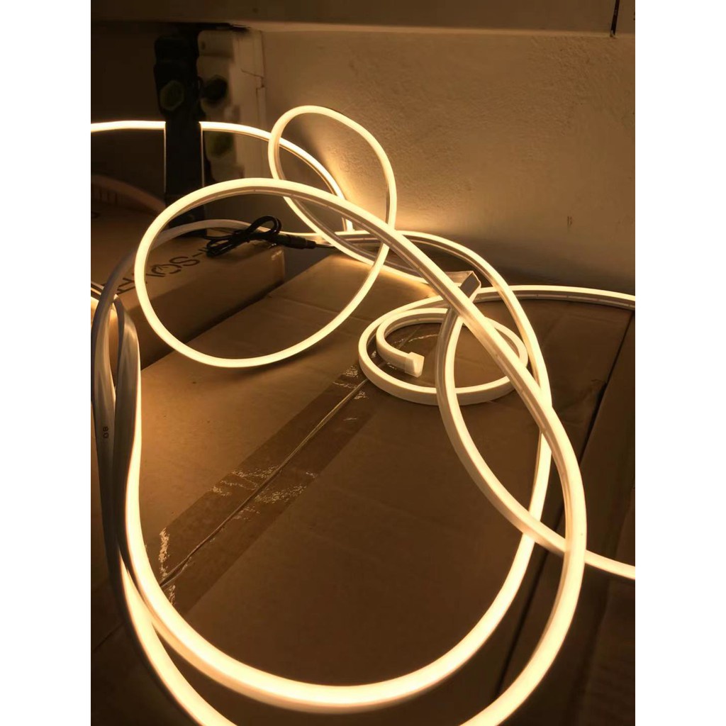 Fita Mangueira LED Neon Flexível - 5 METROS - Bivolt (Rosa, Verde, Azul ...