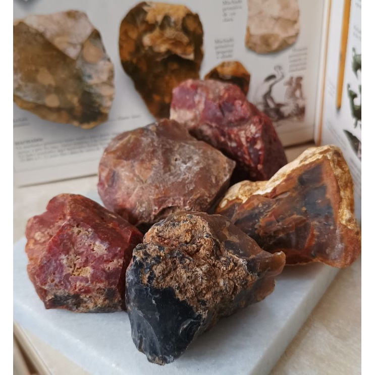 Kit 05 rochas Silex brutas naturais 1kg Chert Flintstone | Shopee Brasil