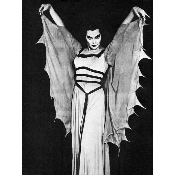 Placa Decorativa Poster Quadro Filme Série The Munsters Lilly Munster 0677