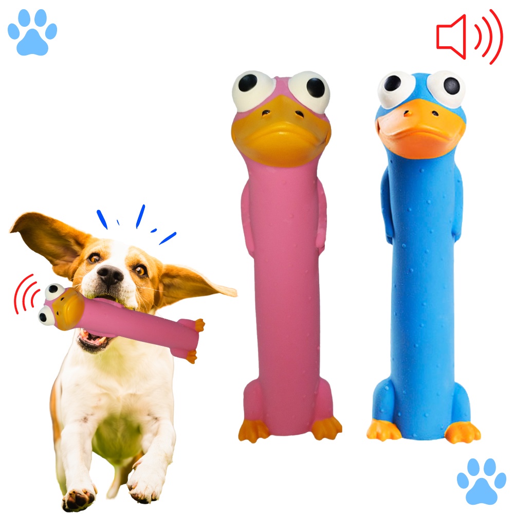 Brinquedo Mordedor para Cachorro de Látex Latoy Natural Atóxico ...