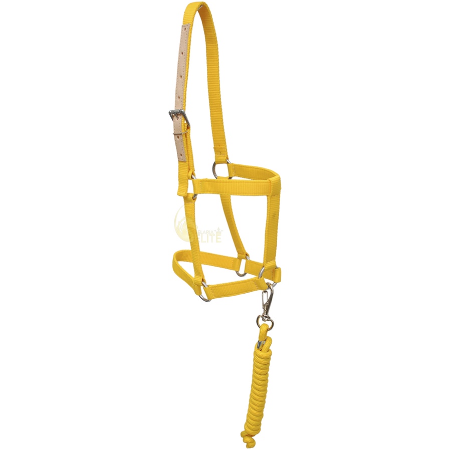 Cabresto Personalizado Com Guia de 3 metros | Shopee Brasil