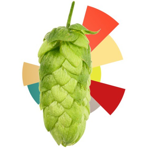 Lúpulo Cascade (LNF) - 50g | Shopee Brasil