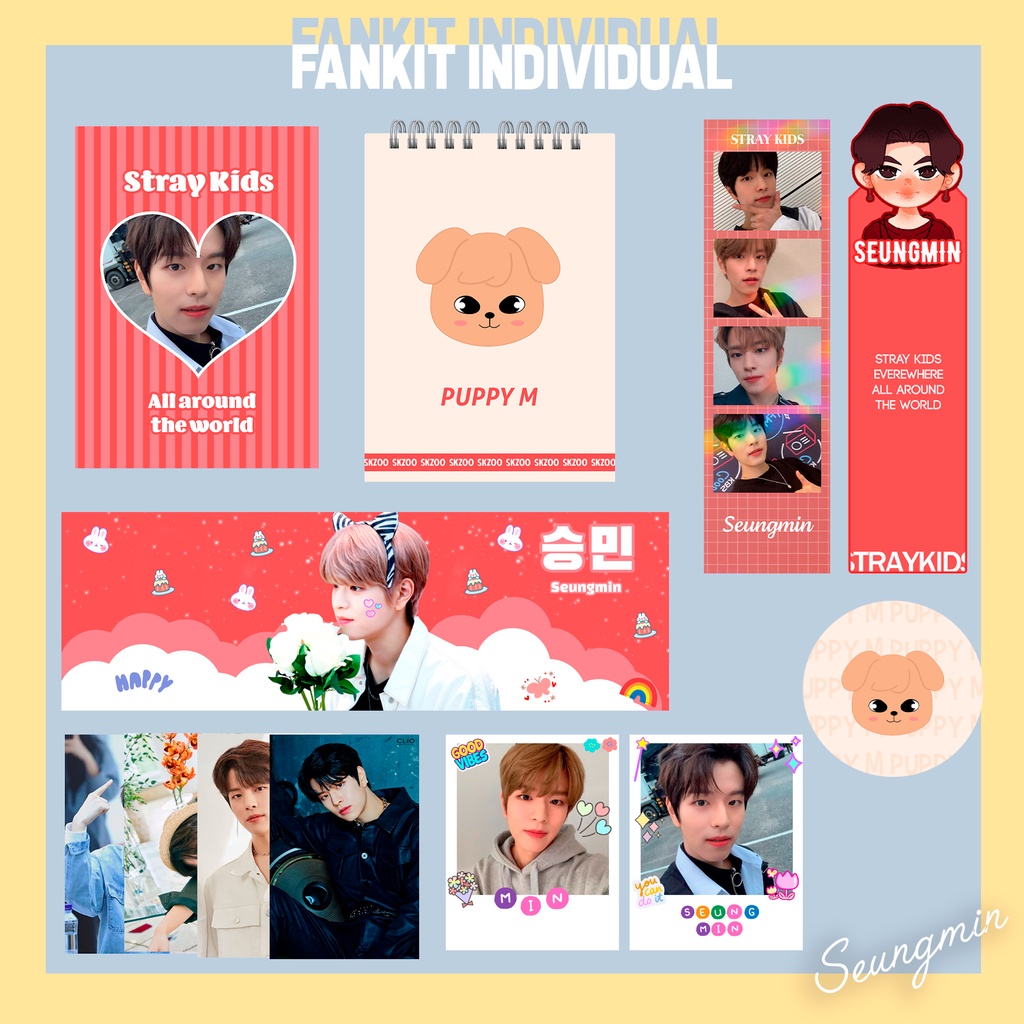 Fankit Stray Kids Individual | Shopee Brasil