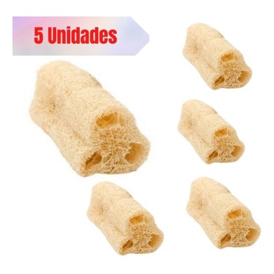 5 Esponja Bucha Vegetal Natural Banho Esfoliacao | Shopee Brasil