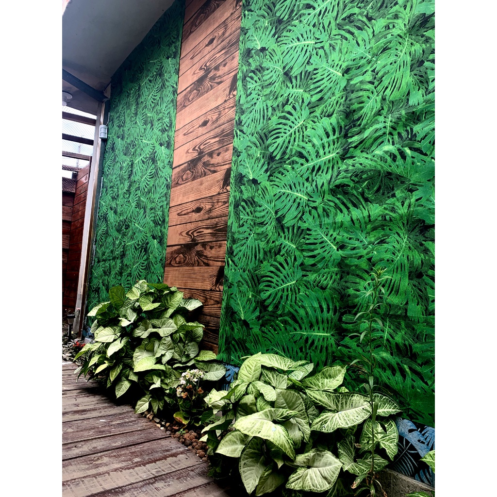 TNT Estampado Folha Costela de Adão 1.00m a 6,00m | Shopee Brasil