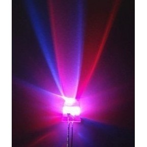 50x Led Multi Color Muda De Cor Automático Tricolor Rgb 3mm | Shopee Brasil