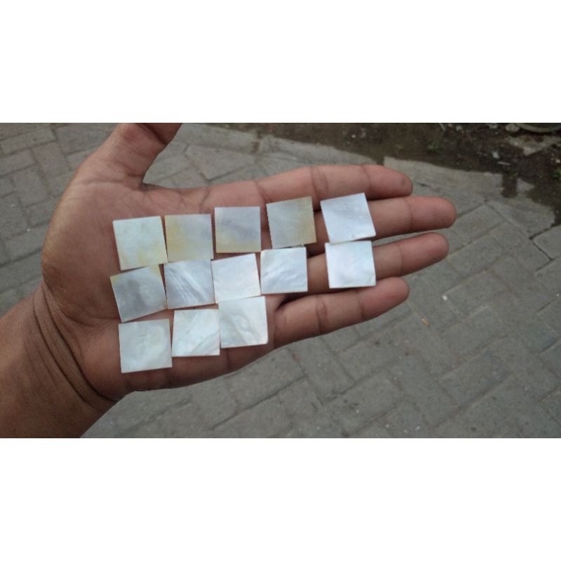 Concha Do Mar Chip Clamshell Natural | Shopee Brasil