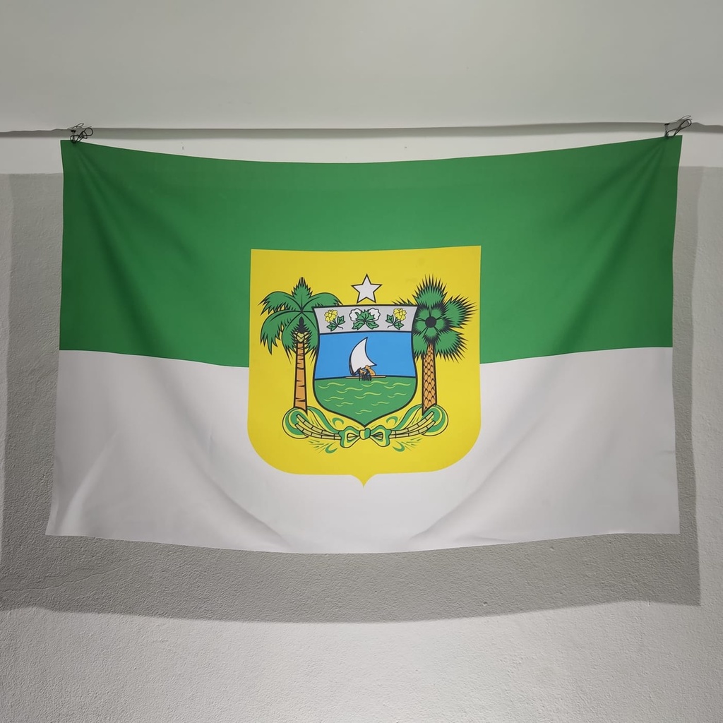 Bandeira Do Estado Rio Grande do Norte Grande 1,50 x 1,00 | Shopee Brasil