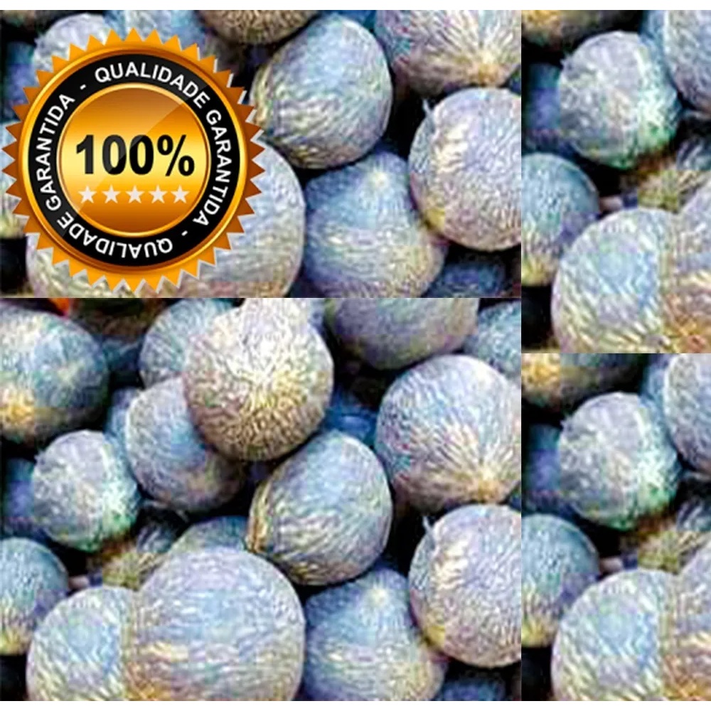 Semente de Tucumã 50 und Amazonas | Shopee Brasil