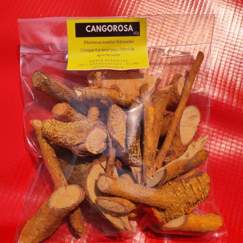 CANCOROSA RAIZ 90G IDEAL PARA CACHAÇA | Shopee Brasil