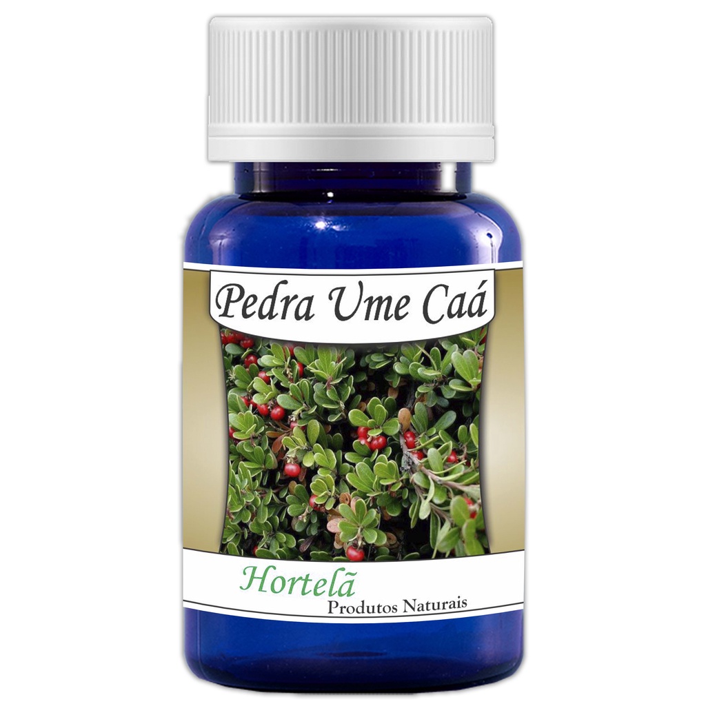 Pedra Ume Caa (insulina vegetal) 60 Cápsulas/500mg 100%natural | Shopee ...