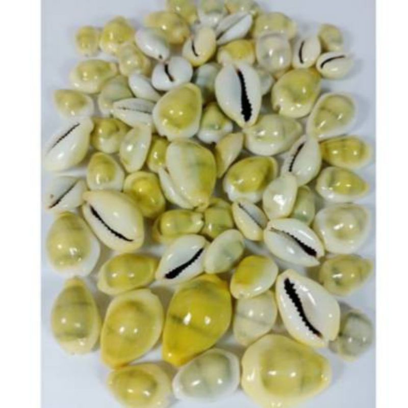 Brinquedo kuwuk gajih Amarelo Tradicional 100g | Shopee Brasil
