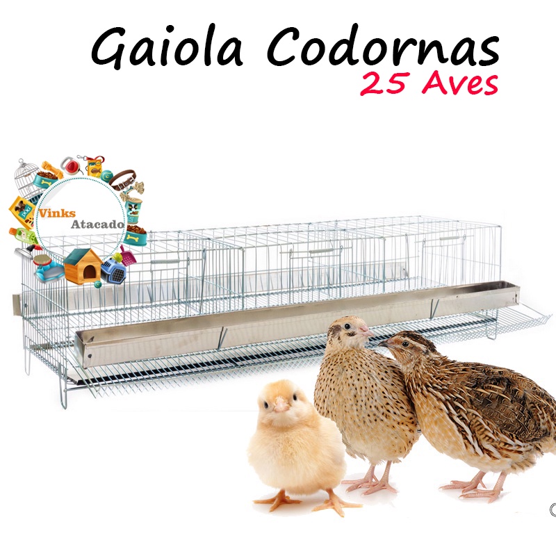 Gaiola Para Codorna Poedeira Pintinhos - Gaiola Gigante Para Codornas ...