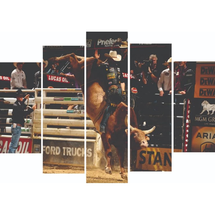 Quadro 5 Peças Montaria De Rodeio Peao Boi Pulando Rodeio | Shopee Brasil