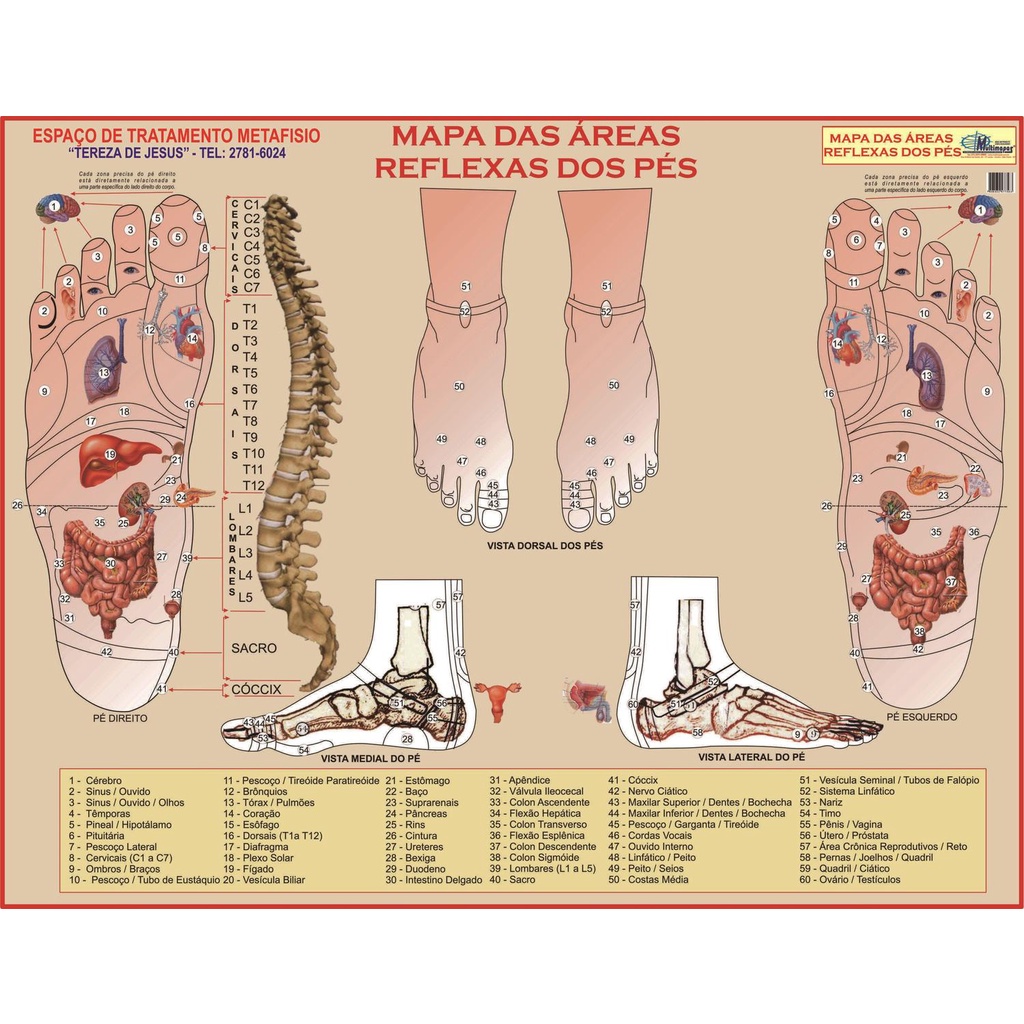 Mapa Gigante Poster Áreas Reflexas Dos Pés Reflexologia 120x90cm ...