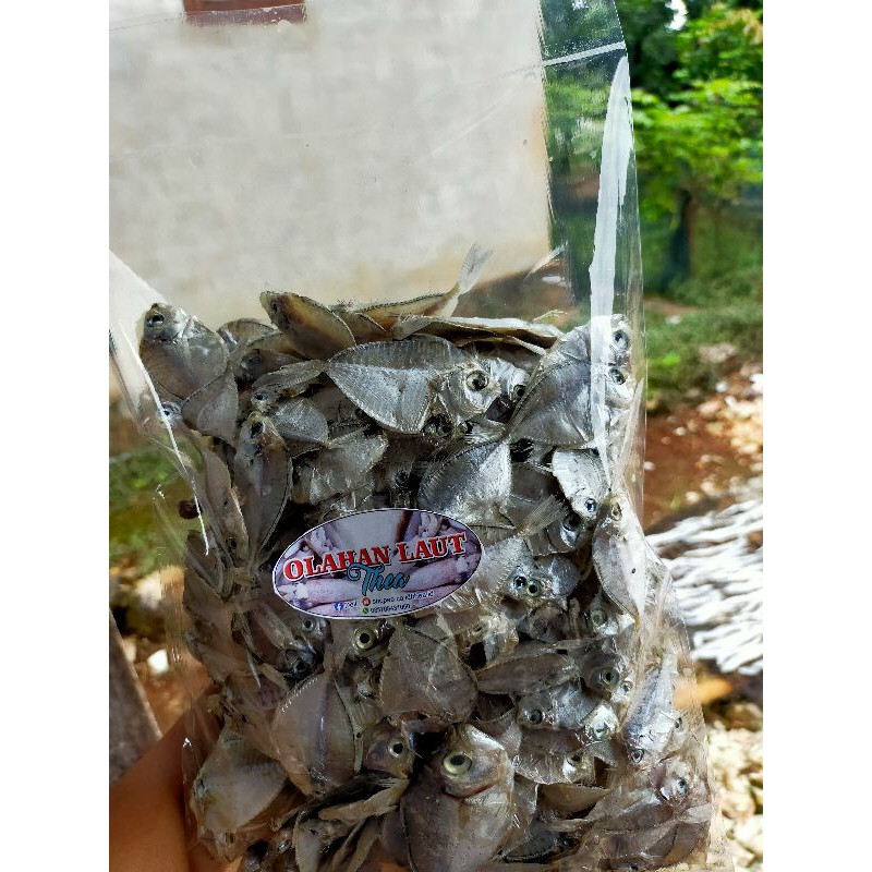 Peixe pirek 100gr | Shopee Brasil