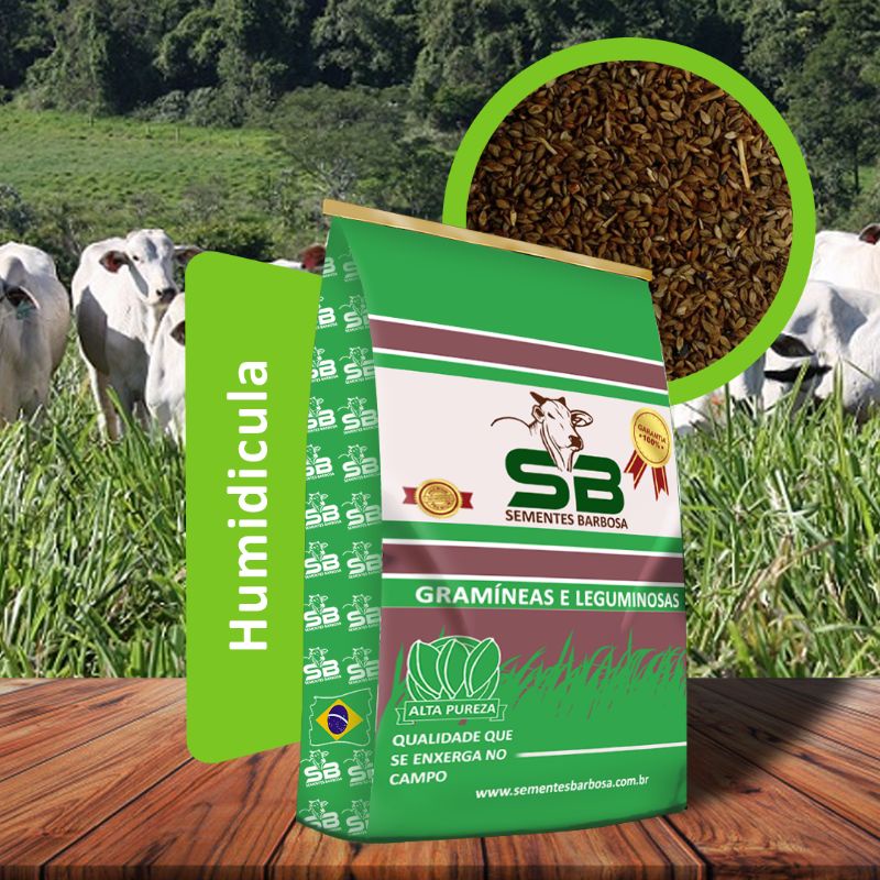 Sementes humidicula 2kg B. HUMIDICOLA cv. LLANERO (DICTYONEURA ...