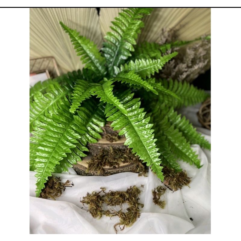 Planta Samambaia 50CM Artificial Ideal para Compor Vasos e a Decoracao ...