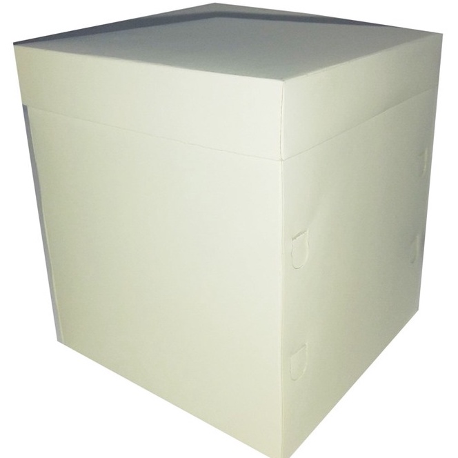 Caixa para Panetone 750 a 1Kg 17x17x20 Com 10 | Shopee Brasil
