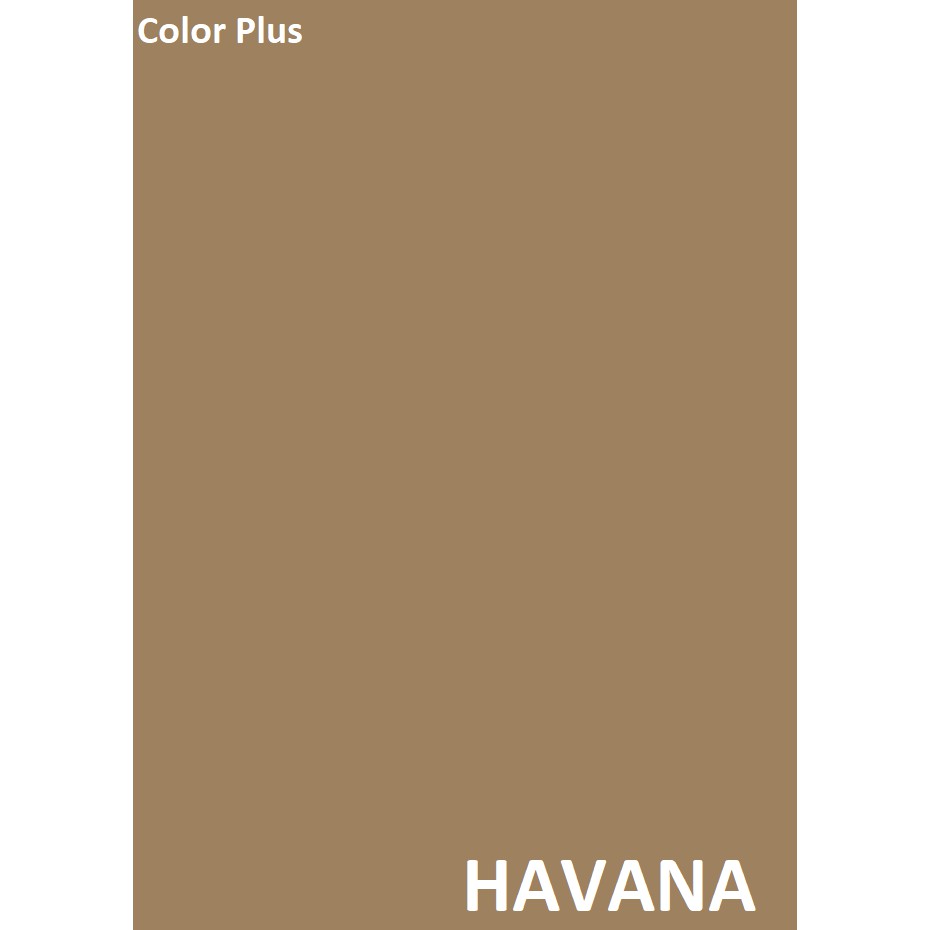 Papel Color Plus Havana A4 - 180g 25 Folhas (Marrom Claro) | Shopee Brasil