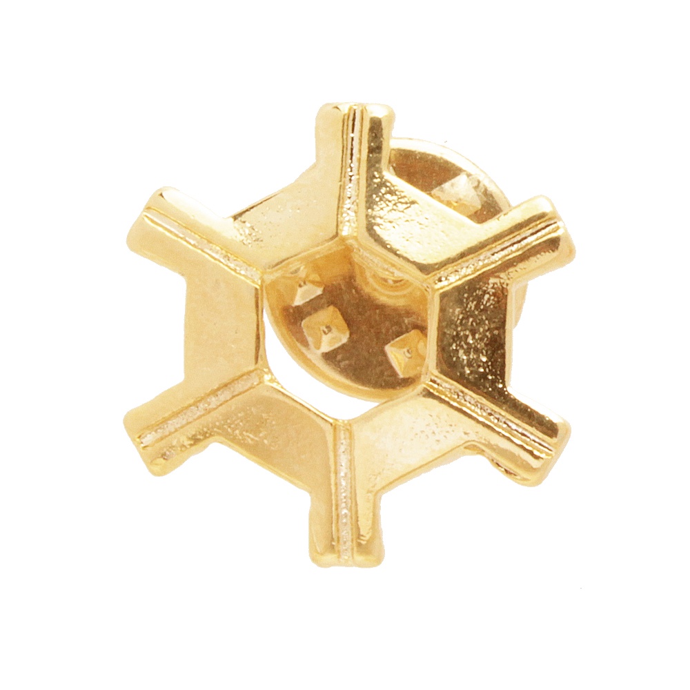 Broche Agronomia Agrônoma Folheado A Ouro 18k | Shopee Brasil