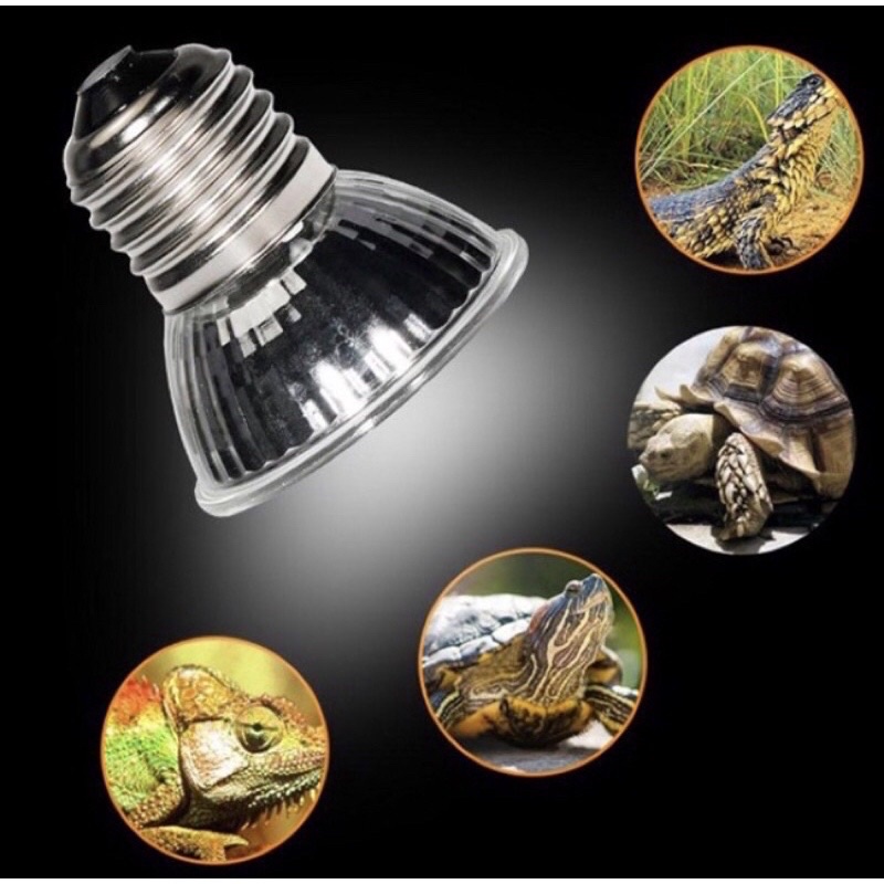 Lampada UVA UVB 110v 50w E27 | Shopee Brasil