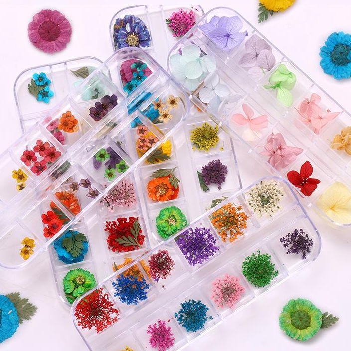 Kit 12 Flores Secas Encapsulamento Unhas Decoração Cores Uv Led Envio