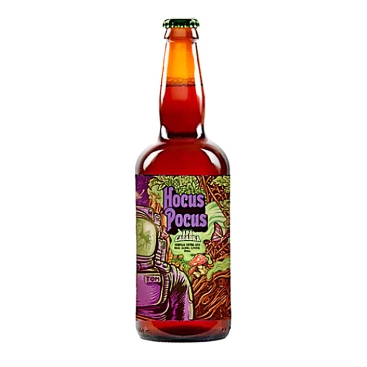 Cerveja Hocus Pocus Apa Cadabra 500 ml | Shopee Brasil