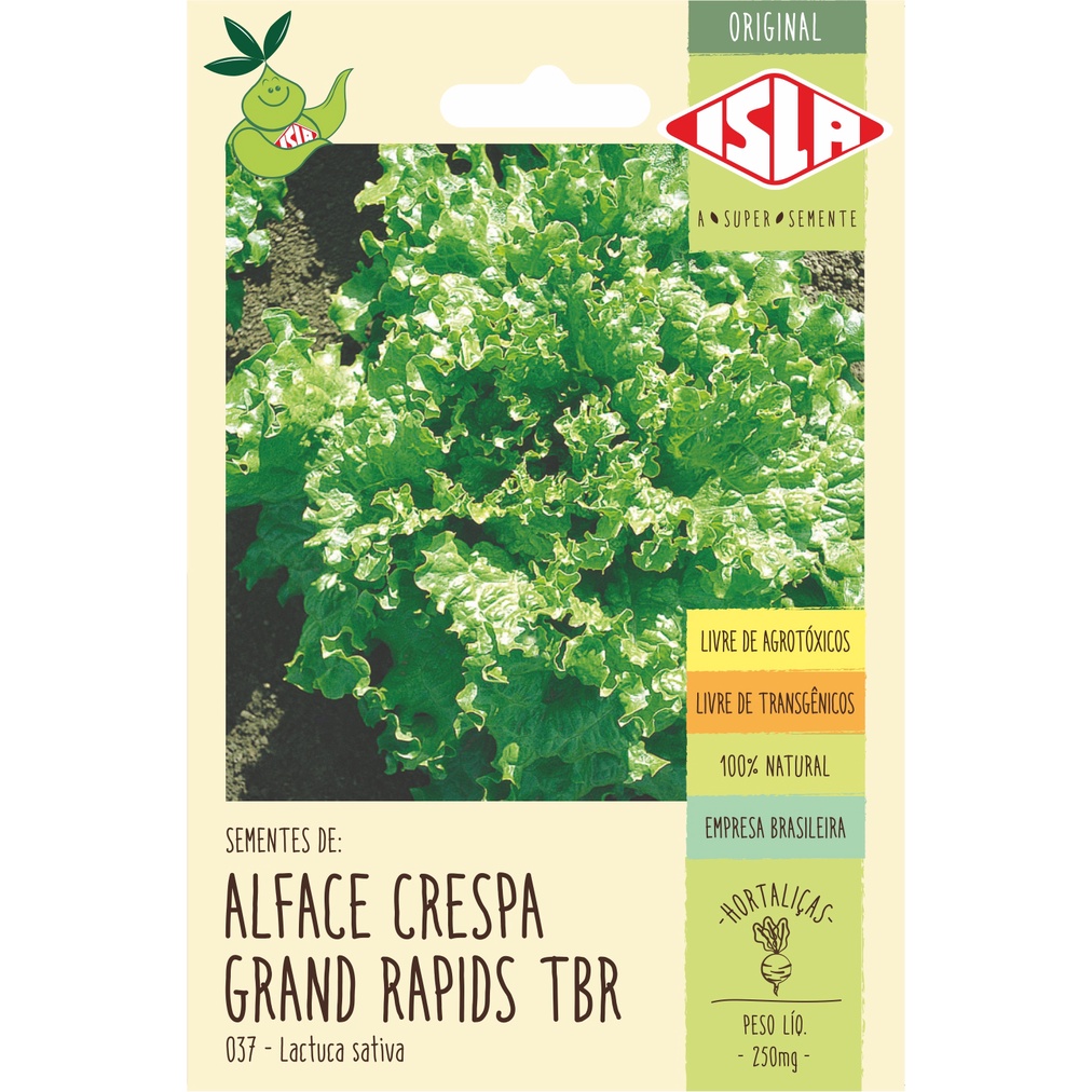 Sementes de Alface Crespa, Lisa, Mimosa, Quatro Estações - Semente Isla ...