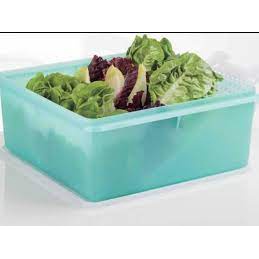 Tupperware super caixa 10 lts | Shopee Brasil