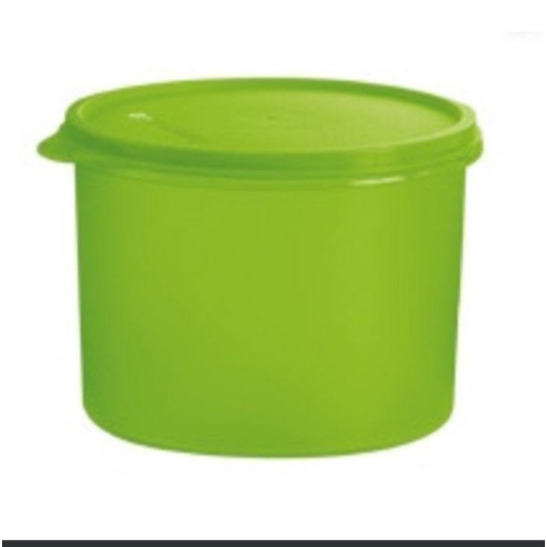 Tupperware Tupper Caixa 2,4 litros Verde | Shopee Brasil