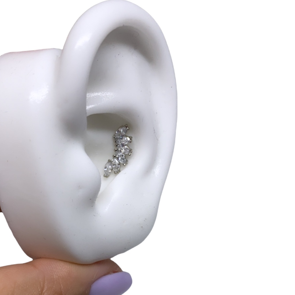 Piercing Cluster Helix Tragus Conch Cravejado Aço Cirúrgico | Shopee Brasil