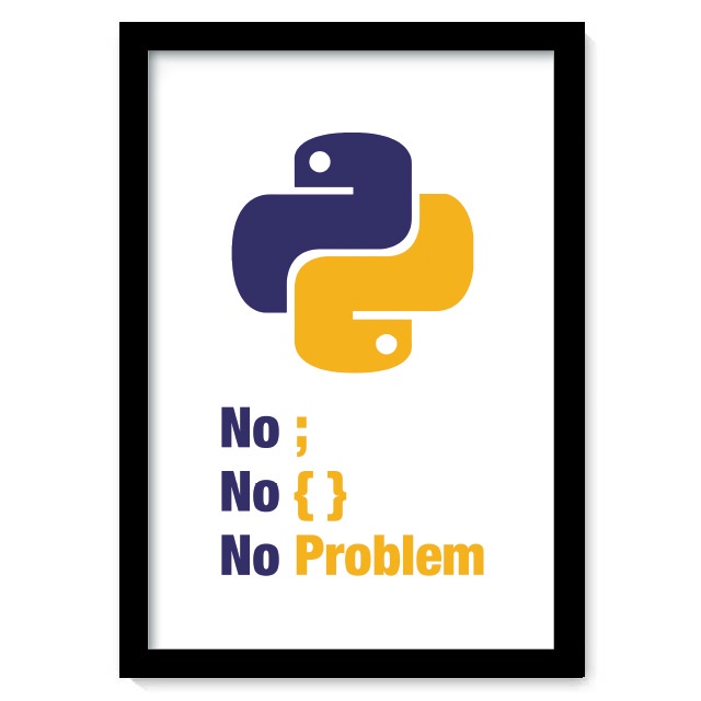 Quadro No Problem Python c/ moldura e vidro | Shopee Brasil