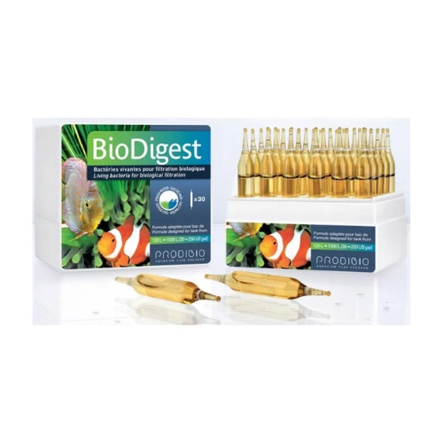 Prodibio Biodigest 2 Ampolas Acelerador Biológico bactérias vivas Para aquario | Shopee Brasil
