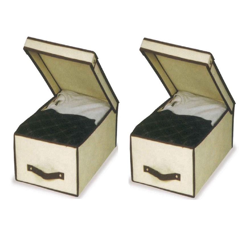 Kit c/ 2 Caixas Organizadora Rigida Armario Closet 45x30x20 | Shopee Brasil