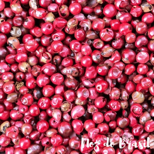 Pimenta Rosa - 20 g (Noz do Brasil) | Shopee Brasil