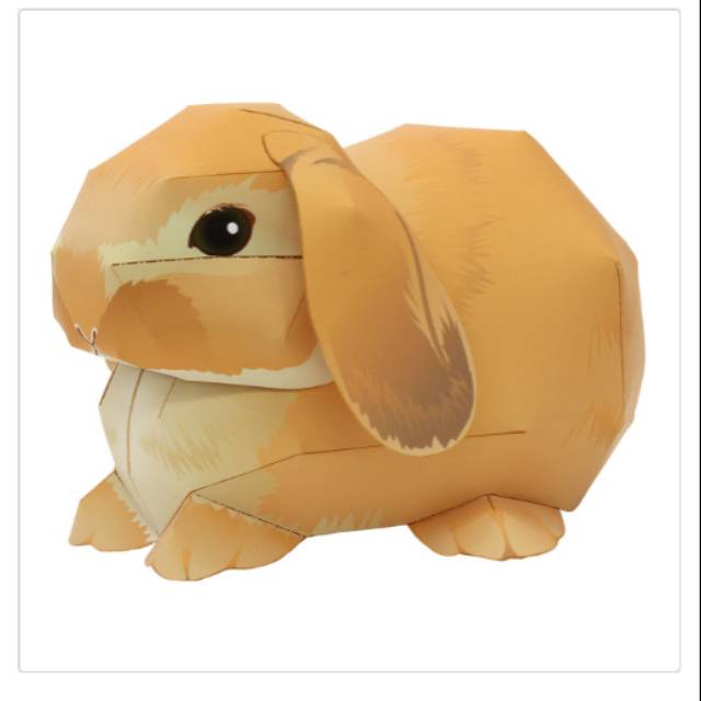 Artesanato Holland Lop papercraft | Shopee Brasil