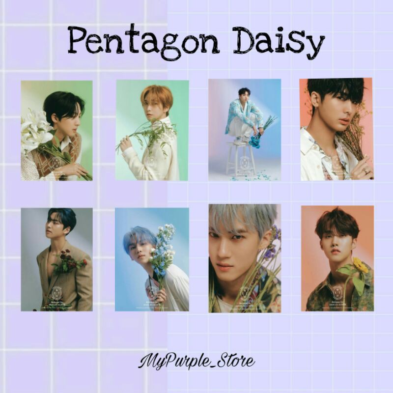KIT de cards Pentagon Daisy K-Pop | Shopee Brasil