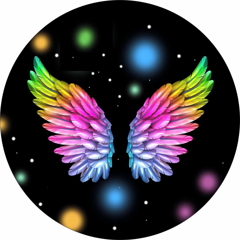 Painel Asas coloridas Neon Festa decoração medindo 1,00x1,00 - Redondo ...