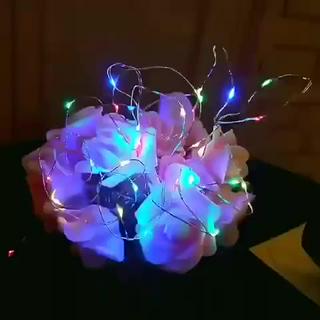 KIT 10 Luzes De Fada Luzes De Led 2m Luzes De Fio De Cobre Para Festa ...