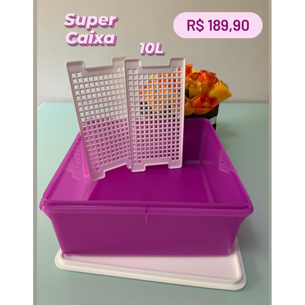 Caixa de 10l Tupperware | Shopee Brasil