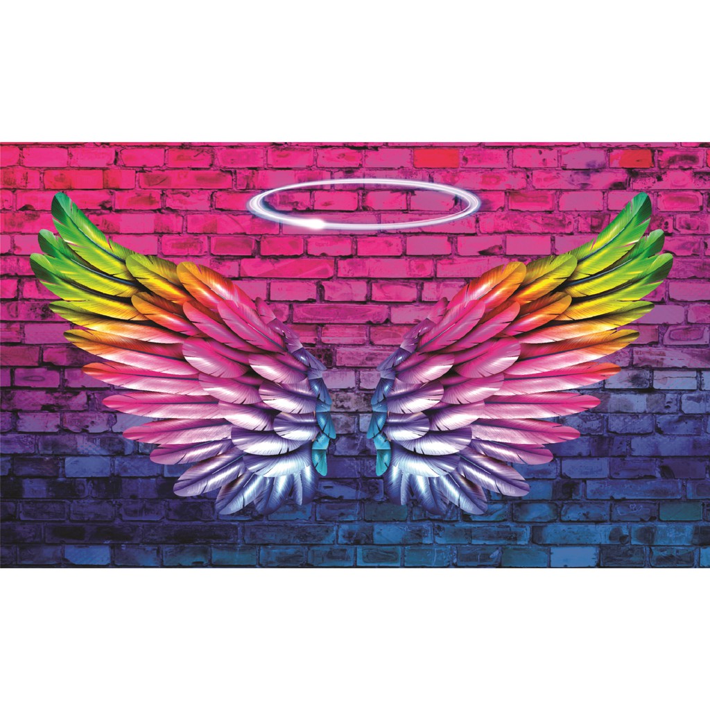 Fundo Fotográfico em Tecido Acompanhamento -Azas -Azas Coloridas ...