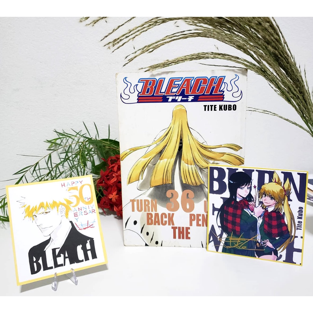 Manga Bleach Vol 36 + Autógrafos decorativos | Shopee Brasil