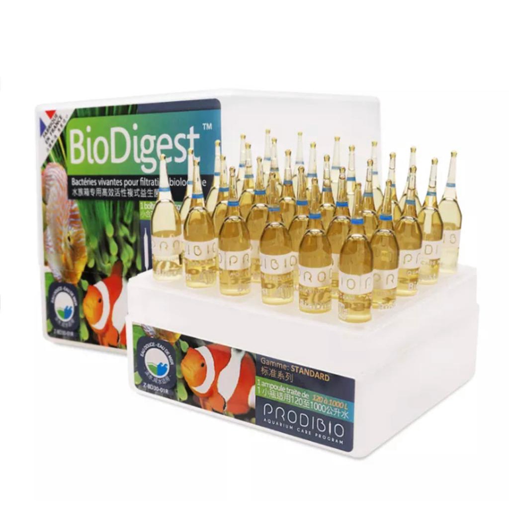 BioDigest Prodibio - (Unitário) | Shopee Brasil