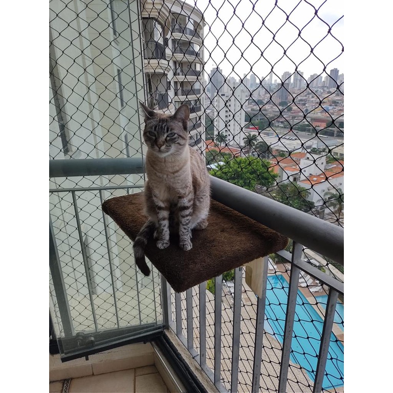 Prateleira Para Grade Gato | Shopee Brasil
