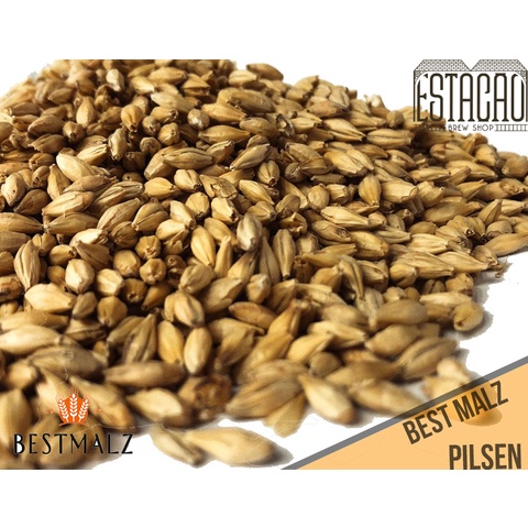 Malte PILSEN alemão - BEST MALZ - 1kg | Shopee Brasil
