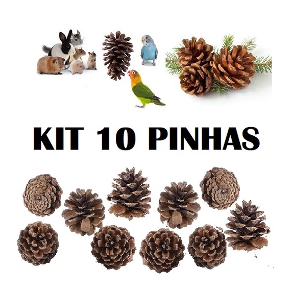 Kit 10 Pinhas Naturais para Coelhos, Roedores, Calopsitas, Psitacídeos ... Kit 10 Pinhas Naturais para Coelhos, Roedores, Calopsitas, Psitacídeos ...